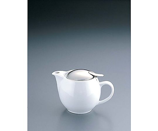 ZERO Universal Teapot for 2 people BBN-01 1 piece – カイゴロウ