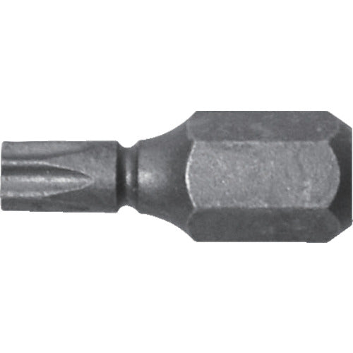Annex Grooved Ultra Short Hex Lobe Bit Set of 1 T20 x 19 (with Hole) A ...